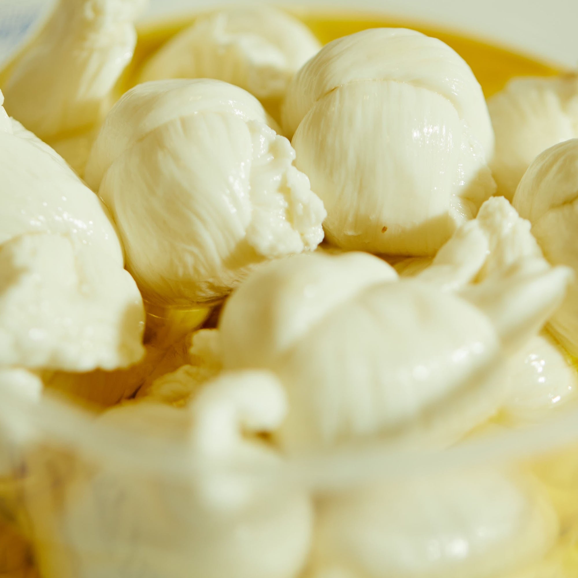 Fine Italian Cheese | Brooklyn Pork Store